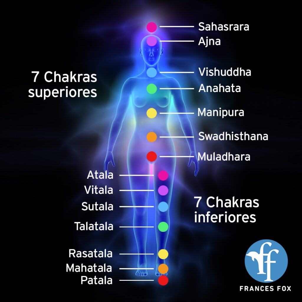 Seven Esoteric Chakras Below the Root Chakra - FRANCES FOX
